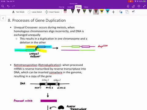SOLVED:Diagram two processes through which genes can be duplicated. How ...