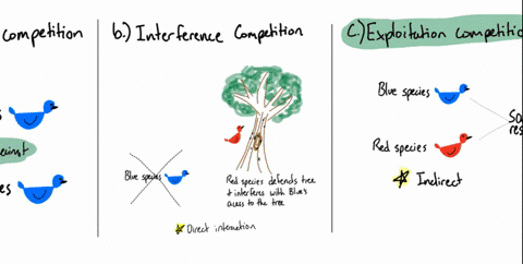 SOLVED:Two diatoms species compete for silica resources. This is an ...