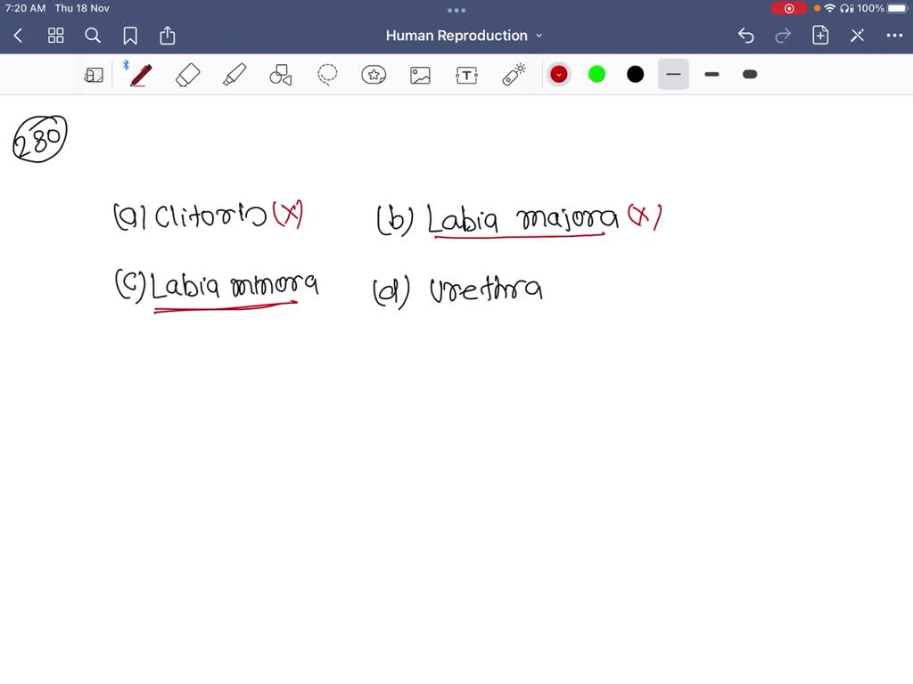 SOLVED What Does f Represent In The Figure a Clitoris b Labia