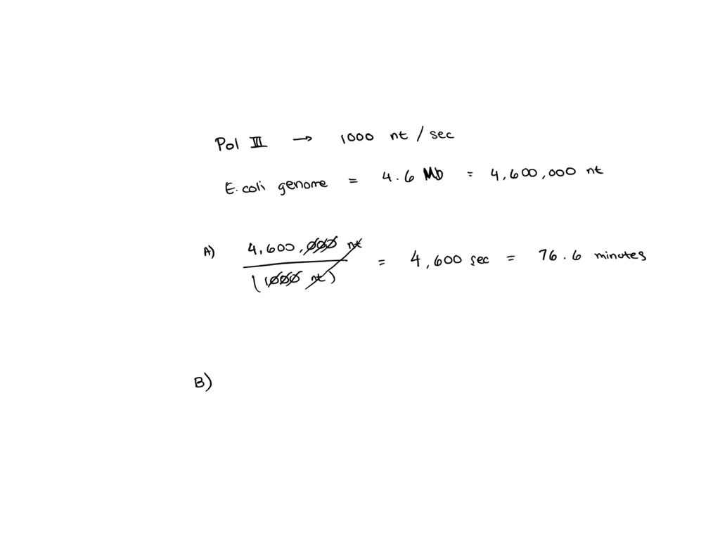Solvedthe E Coli Chromosome Requires 40 Minutes For Its Complete 2027