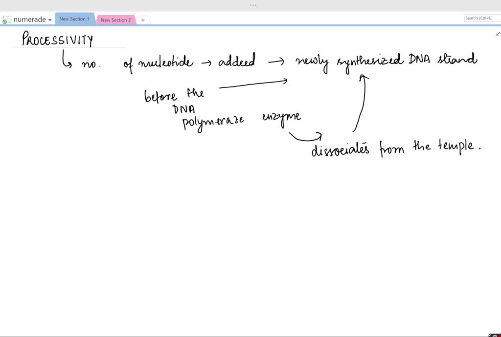 SOLVED:Define deamination, and explain its importance.