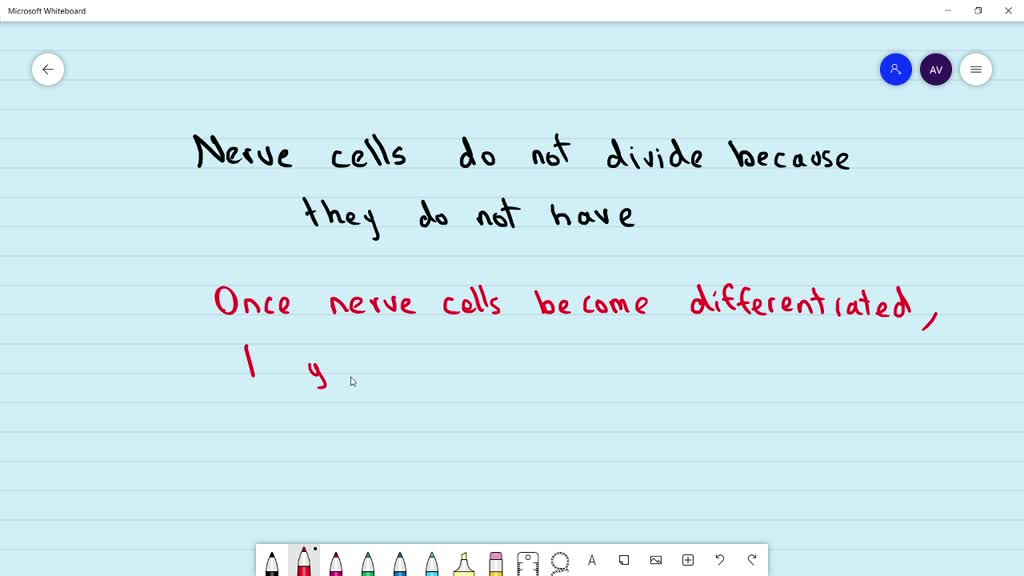 SOLVED:Nerve cells do not divide because they do not have (a) nucleus ...