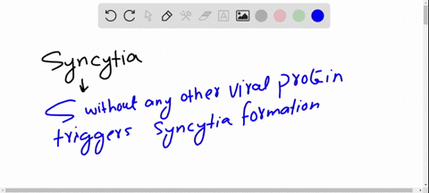 SOLVED:A syncytium is a "cell" that contains more than one nucleus ...