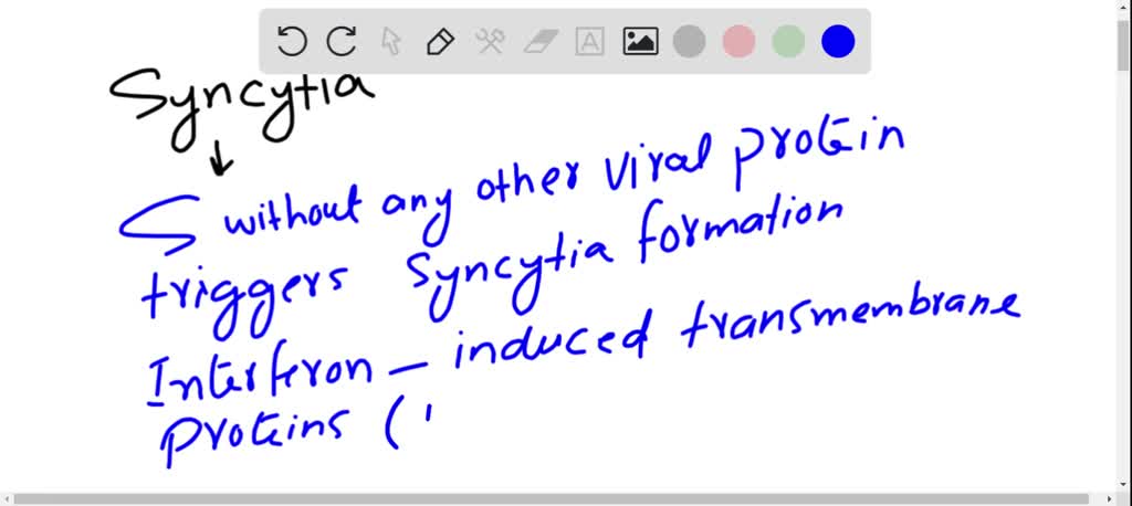 SOLVED:A syncytium is a "cell" that contains more than one nucleus ...