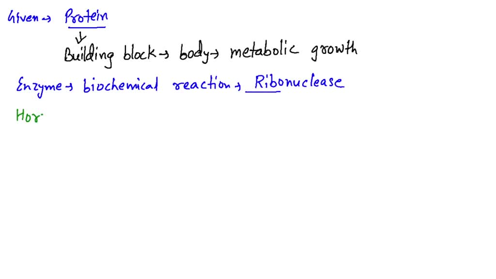 Name four biological functions of proteins in the human body, and give ...