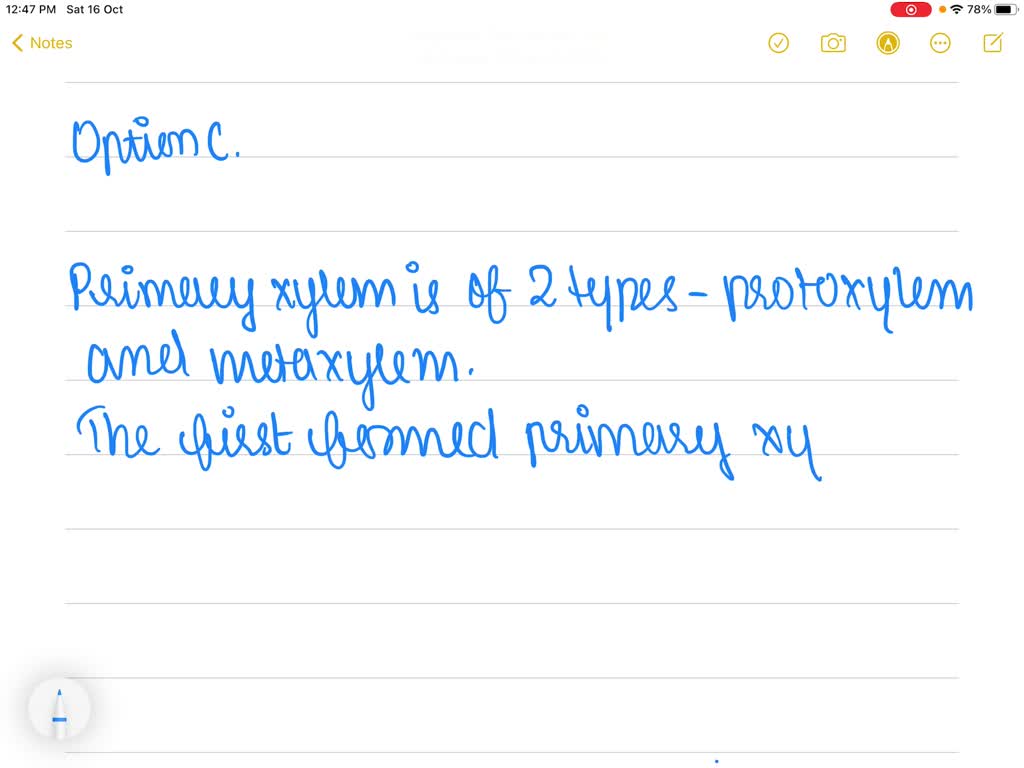 SOLVED:The primary xylem elements formed are called is called (a ...
