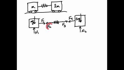 Newton’s Third Law of Motion | Conceptual Physics…