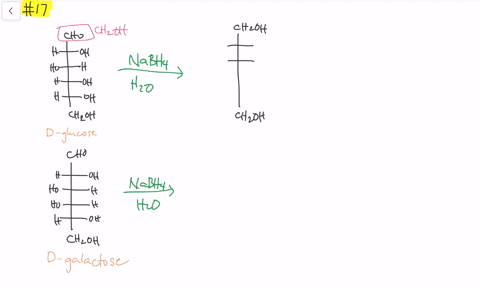 SOLVED:When a person cannot digest galactose, its reduced form, called ...