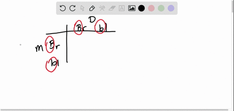SOLVED:Constructing Sample Space.construct the indicated sample space and answer the given ...