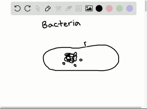 SOLVED:What are the two major themes of microbiology and how do they ...
