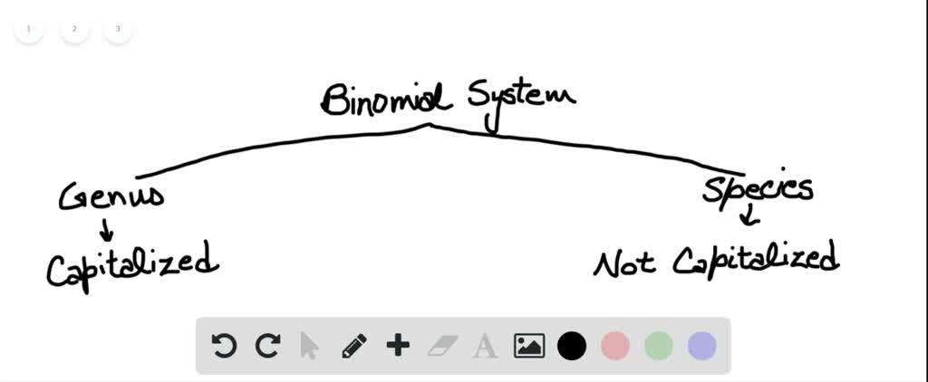 SOLVED What Is The Correct Way To Format A Two word Scientific Name A 