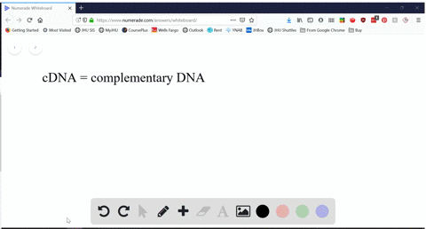 Chapter 20, DNA Tools and Biotechnology Video Solutions, Campbell ...