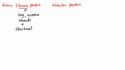 SOLVED:Compare and contrast the characteristics of fibrous and globular ...