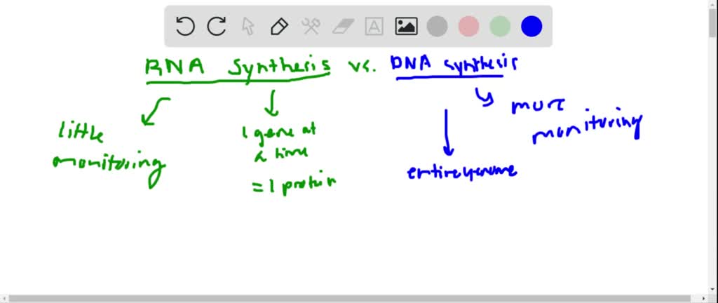 SOLVED:Why is RNA synthesis not as carefully monitored for errors as is DNA synthesis?