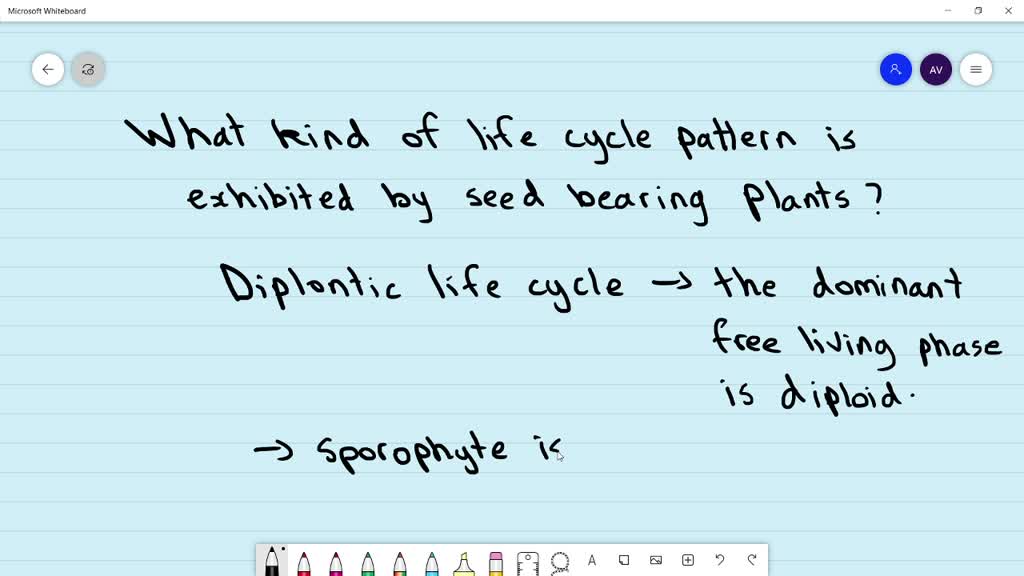 SOLVED:Which kind of life-cycle pattern is exhibited by seed-bearing ...