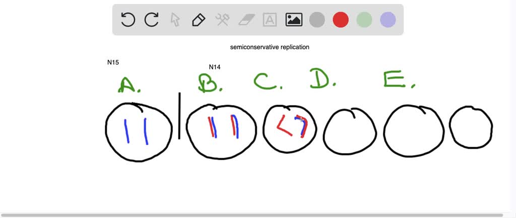 A line of mouse cells is grown for many generations in a medium with ...