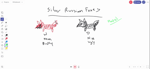 ⏩SOLVED:In 1959, the Russian geneticist Dmitri Belyaev began an… | Numerade