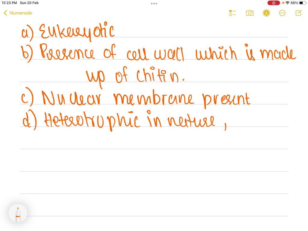 SOLVED The Cell Wall Of Fungi Is Made Up Of solved-the-cell-wall-of-fungi-is-made-up-of