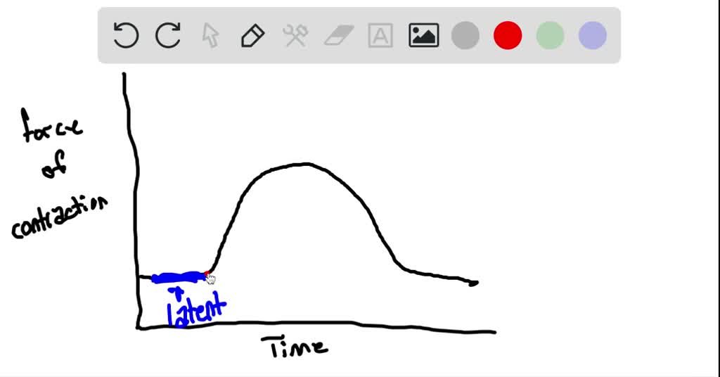 SOLVED:A record of a contraction is called a myogram. It consists of a ...