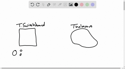 SOLVED:(4) RAS is essential to consciousness. The reticular activating ...