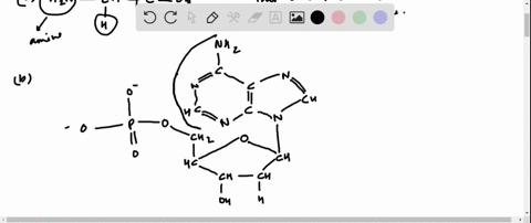 SOLVED:Determine whether or not each structure is a nucleotide. For each nucleotide, identify ...