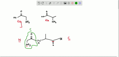 SOLVED: Draw the tripeptide Gly-Phe-Ala