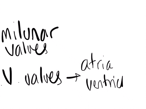 ⏩SOLVED:The semilunar valves prevent the backflow of blood from the ...