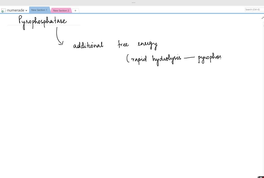 SOLVED:What is the importance of frame-shifting in the regulation of ...