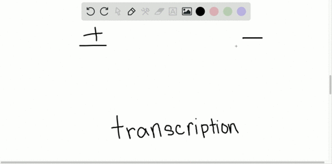 ⏩SOLVED:Explain the difference between positive and negative control… | Numerade