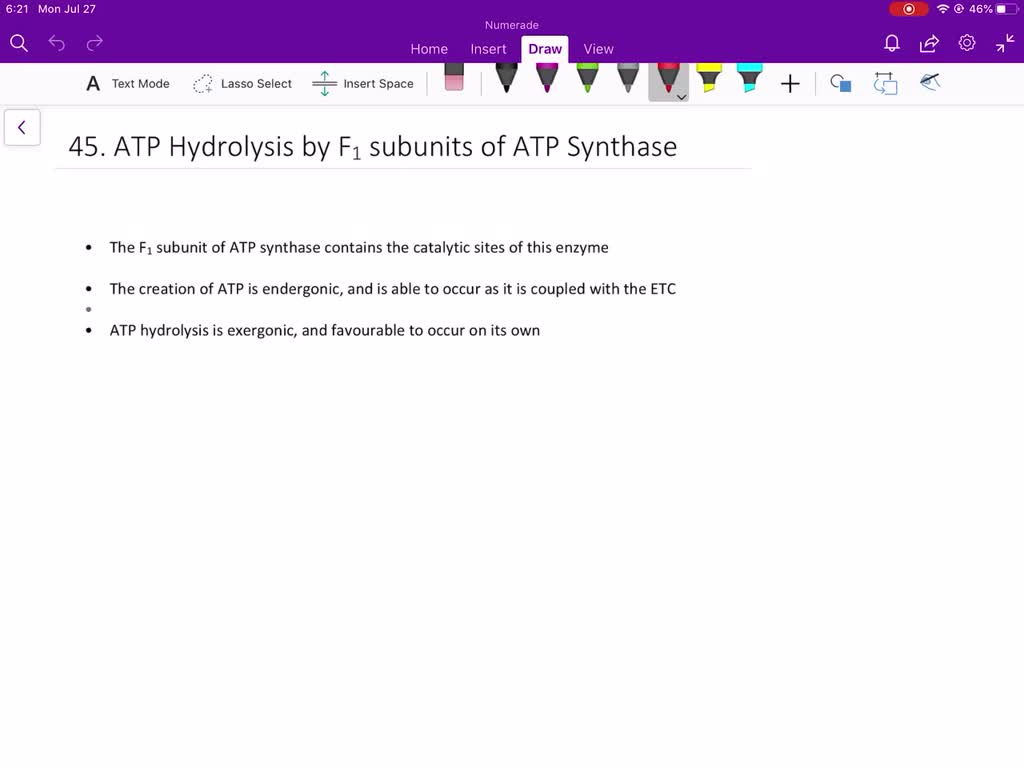 SOLVED:Why do isolated F1 subunits of ATP synthase catalyze ATP hydrolysis?