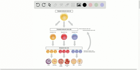 SOLVED:Arrange the following terms in order of increasing ...