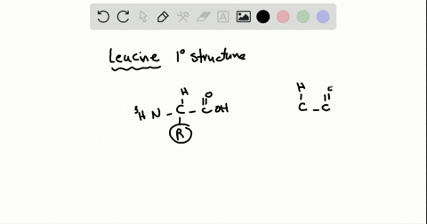 SOLVED:Based on your knowledge of the chemical properties of amino acid ...
