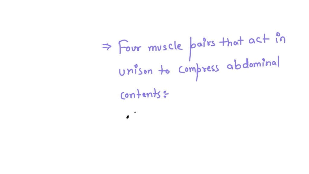SOLVED:During a Cesarean section, a transverse incision is made through ...