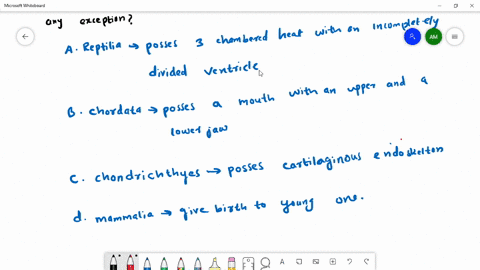 A what are examples of vertebrate taxa with 3 chambered...