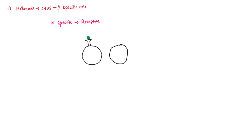 SOLVED:Circulating hormones enter the bloodstream; local hormones ...