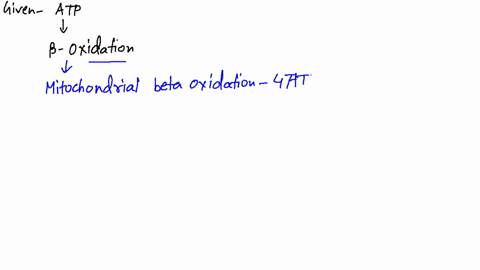SOLVED:How many moles of ATP are produced by one cycle of βoxidation?