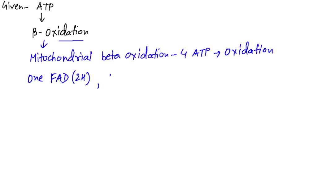 SOLVED:How many moles of ATP are produced by one cycle of βoxidation?