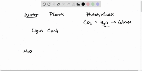 SOLVED:Water deficiency is arguably the easiest deficiency to detect in ...