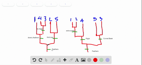 SOLVED:Which does not affect the rate of mutation in a molecular clock ...