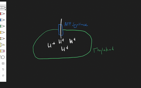 SOLVED:Short Answer Why is hydrogen ion generation essential for ATP ...