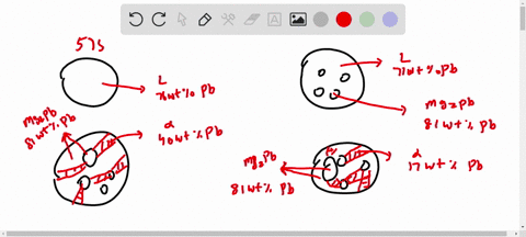 For an 85 wt % Pb-15 wt % Mg alloy, make schematic sketches of the ...