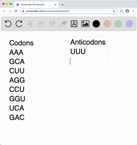 SOLVED:Match the codon with the anticodon: Codon Anticodon AAA ACC GCA ...