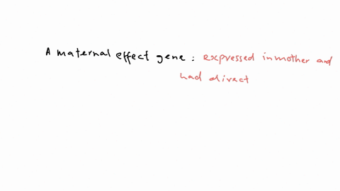 ⏩SOLVED:Suppose you conduct a screen for maternal-effect mutations ...