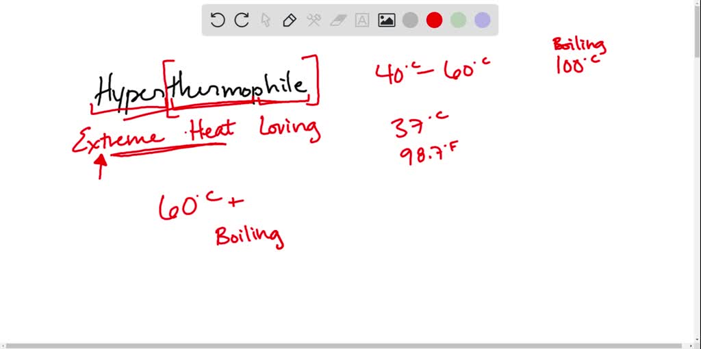 SOLVED:In which environment are you most likely to encounter a ...