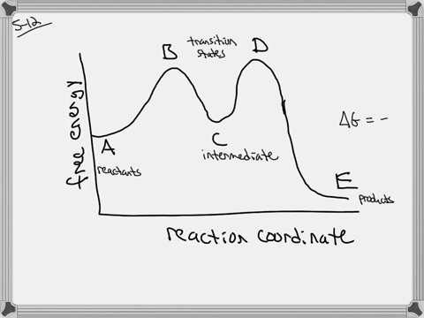 SOLVED:Which process has the highest activation energy? A. The first ...
