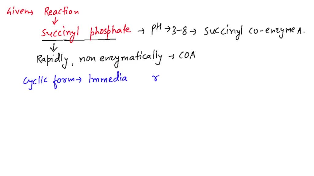 SOLVED:The following coupled reaction is the result of an exergonic ... SOLVED:The following coupled reaction is the result of an exergonic ...