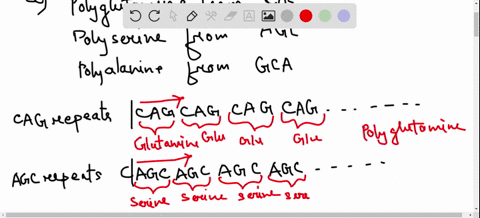 SOLVED:A possible mechanism for the pathology of trinuclevetide repeat ...