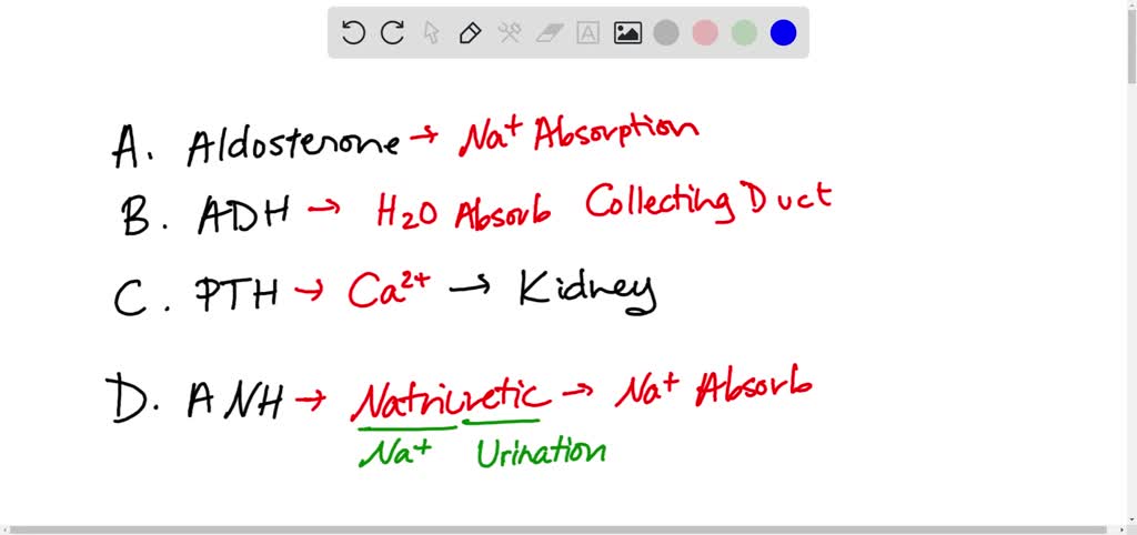 SOLVED:Progesterone can bind to receptors for which hormone that, when ...