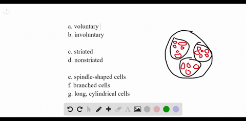 SOLVED:Select the correct answer and write it on the line provided. The ...