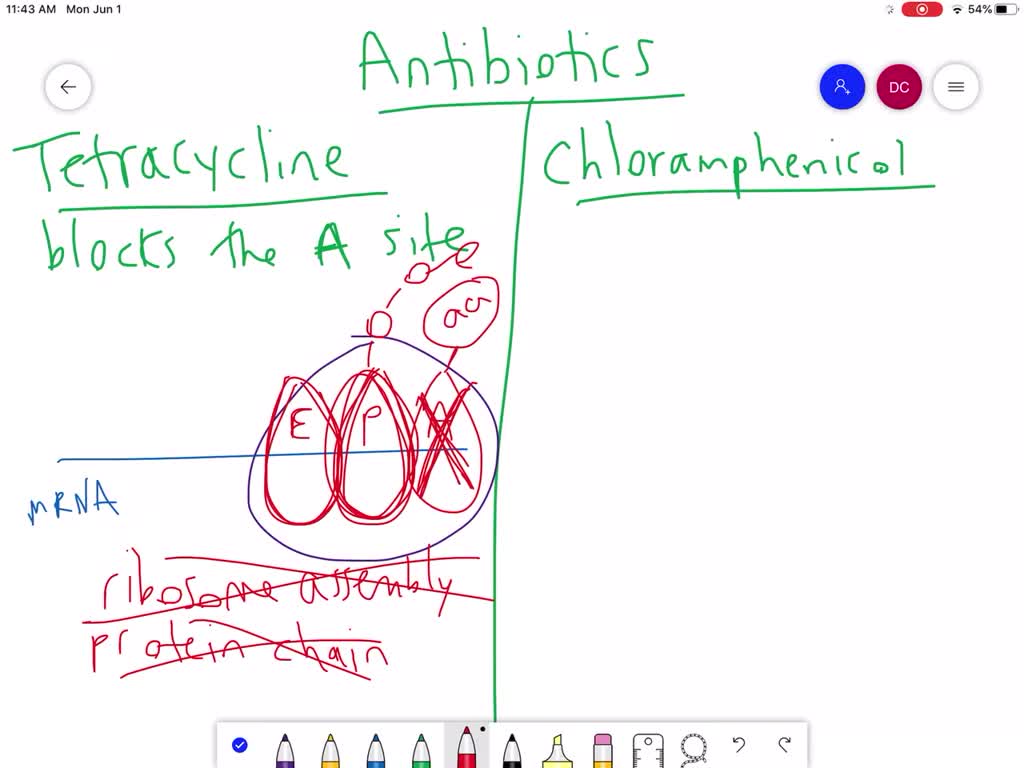 Figure 15.16 Many antibiotics inhibit bacterial protein synthesis. For ...
